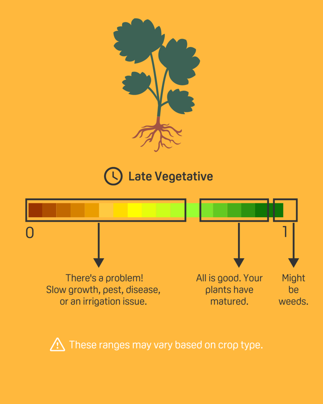 How to Read NDVI Maps: Growth Stages & Possible Color Indications