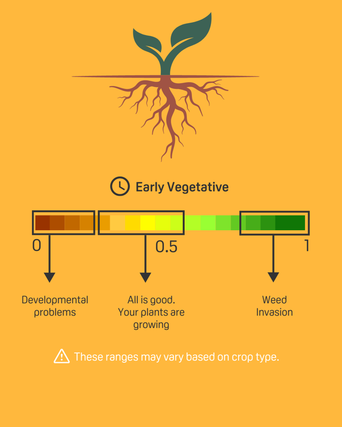 How to Read NDVI Maps: Growth Stages & Possible Color Indications